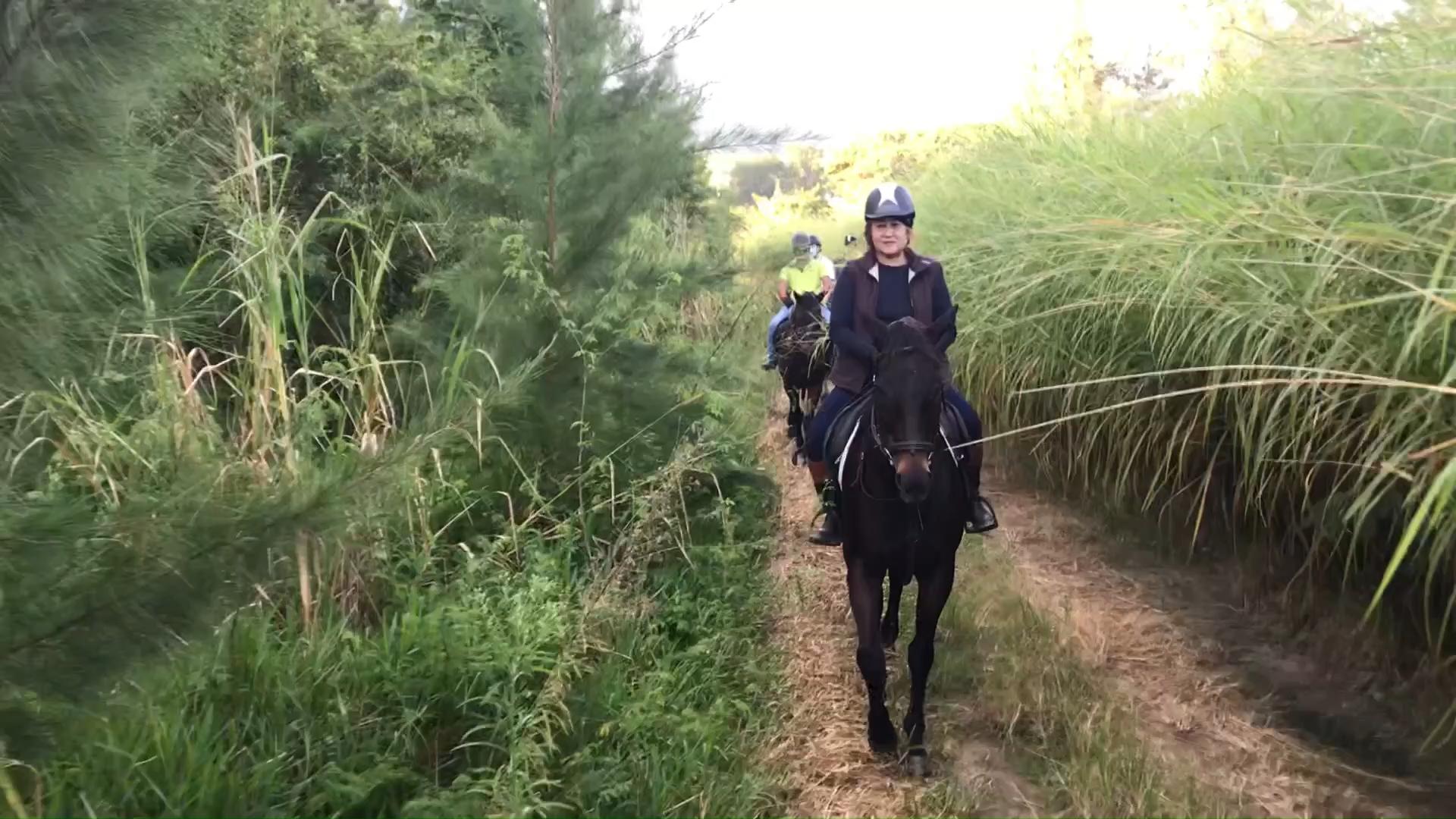 Centre Equestre de Riambel ⋆ Balade à cheval dans la nature